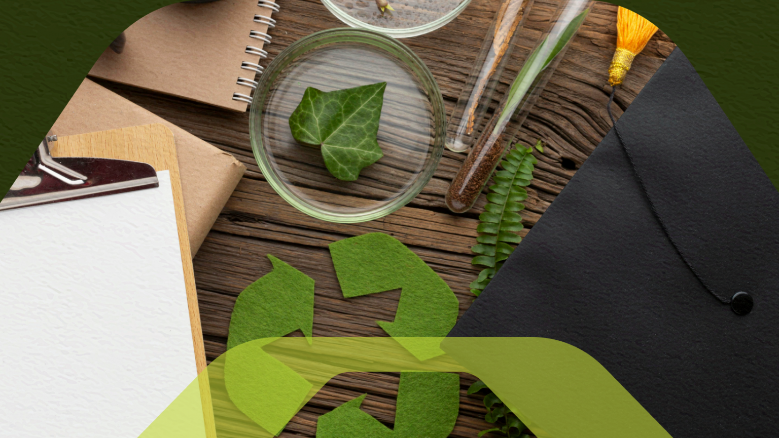 ISO 14031: o que é, como implementar + indicadores